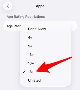 Fix: Apps Disappearing After iOS 26 Update Due to Restrictions
