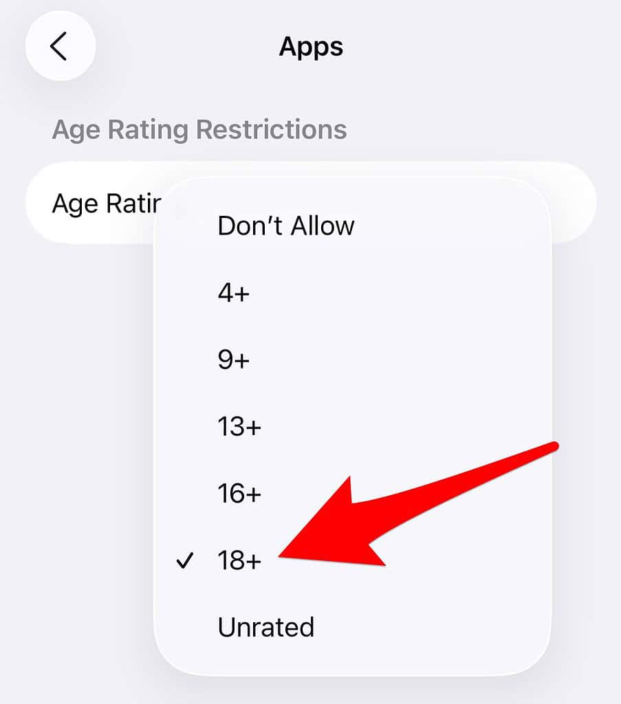 Fix: Apps Disappearing After iOS 26 Update Due to Restrictions
