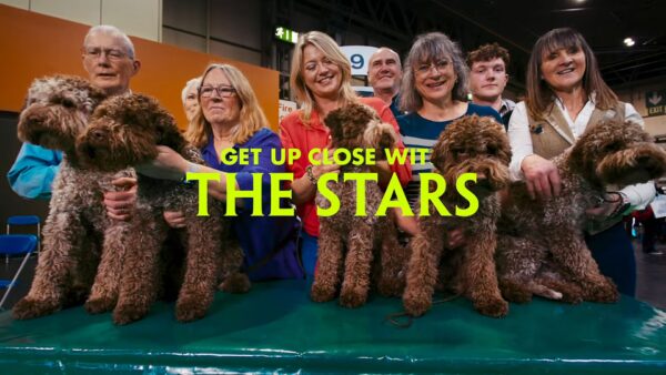 Apple Vision Pro to Stream Crufts in New Immersive Video Series “Top Dogs”