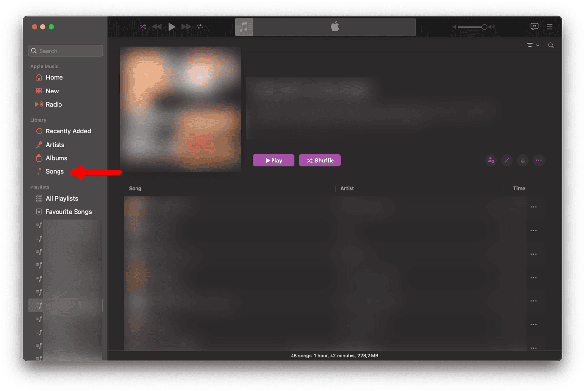How To Download All Songs in Apple Music the Easy Way