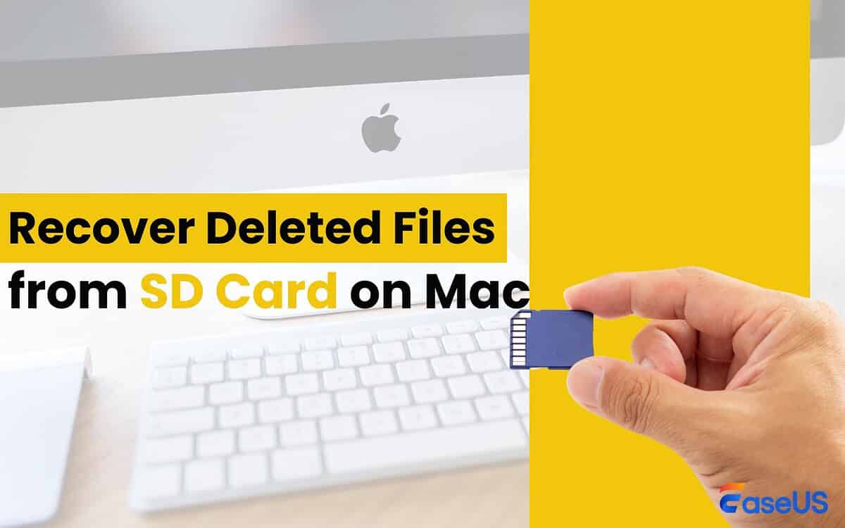 Recover Deleted Files from SD Card on Mac: Complete Guide for macOS Users